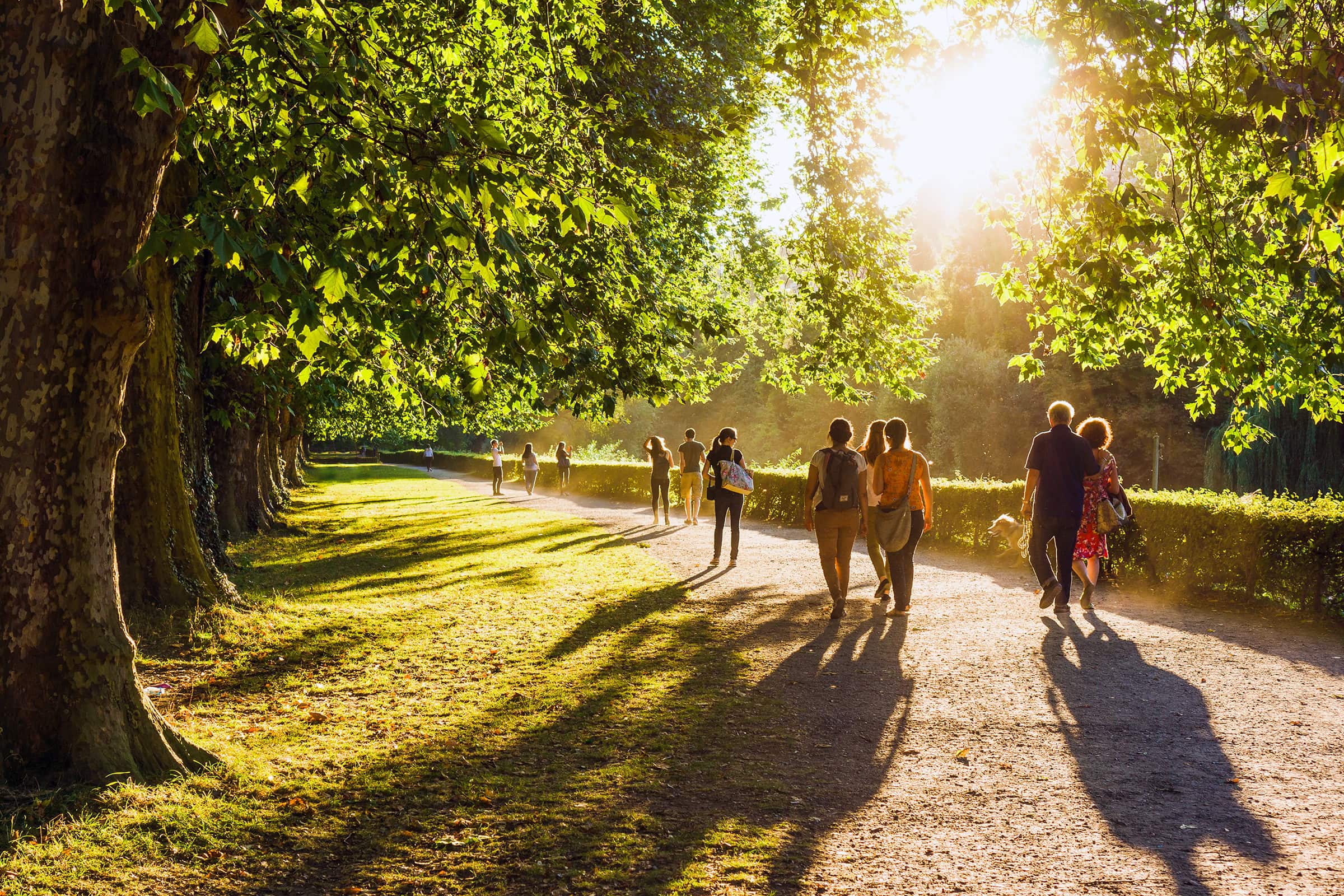 Applying for licensure - CLARB