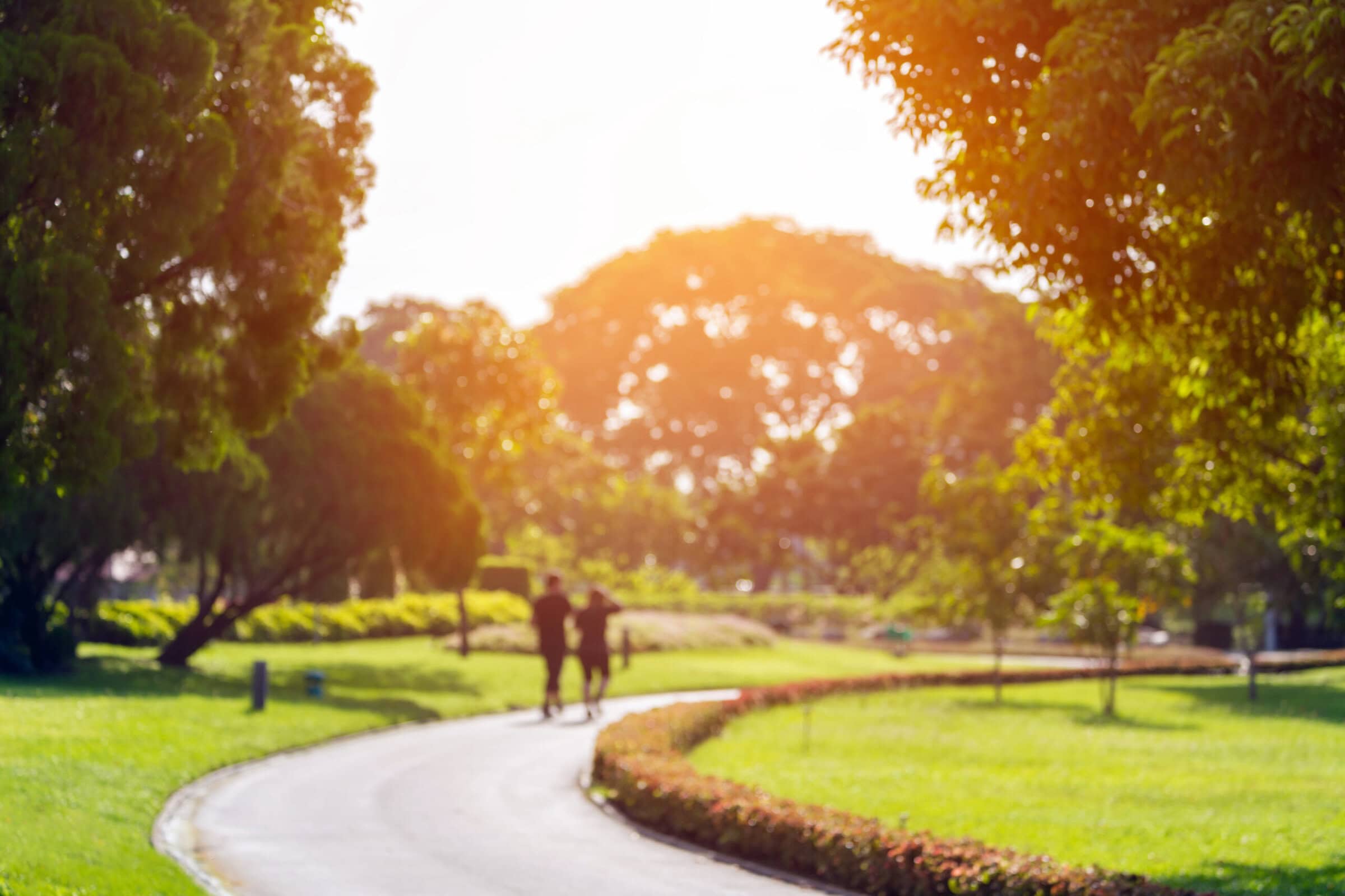 Exclusive benefits for CLARB Record Holders – CLARB
