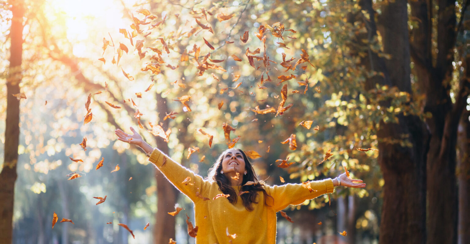 CLARB - Advancing professional standards in landscape architecture.